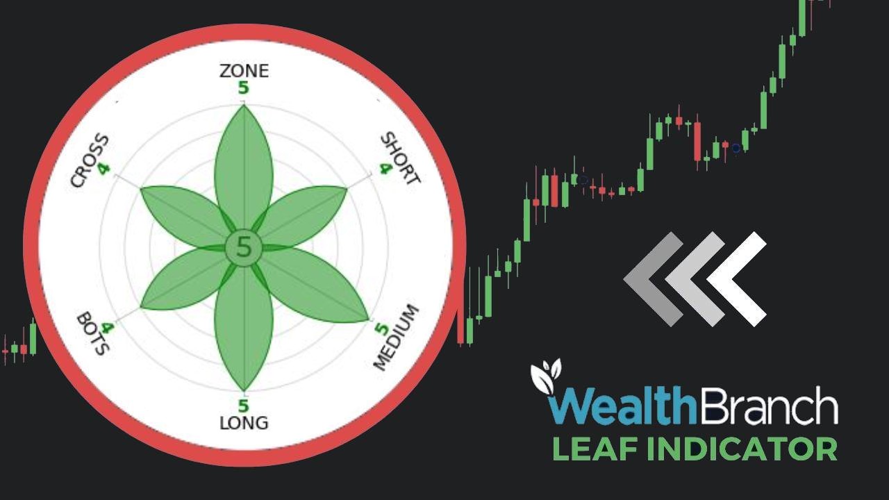 WealthBranch Stock Trading Strategies